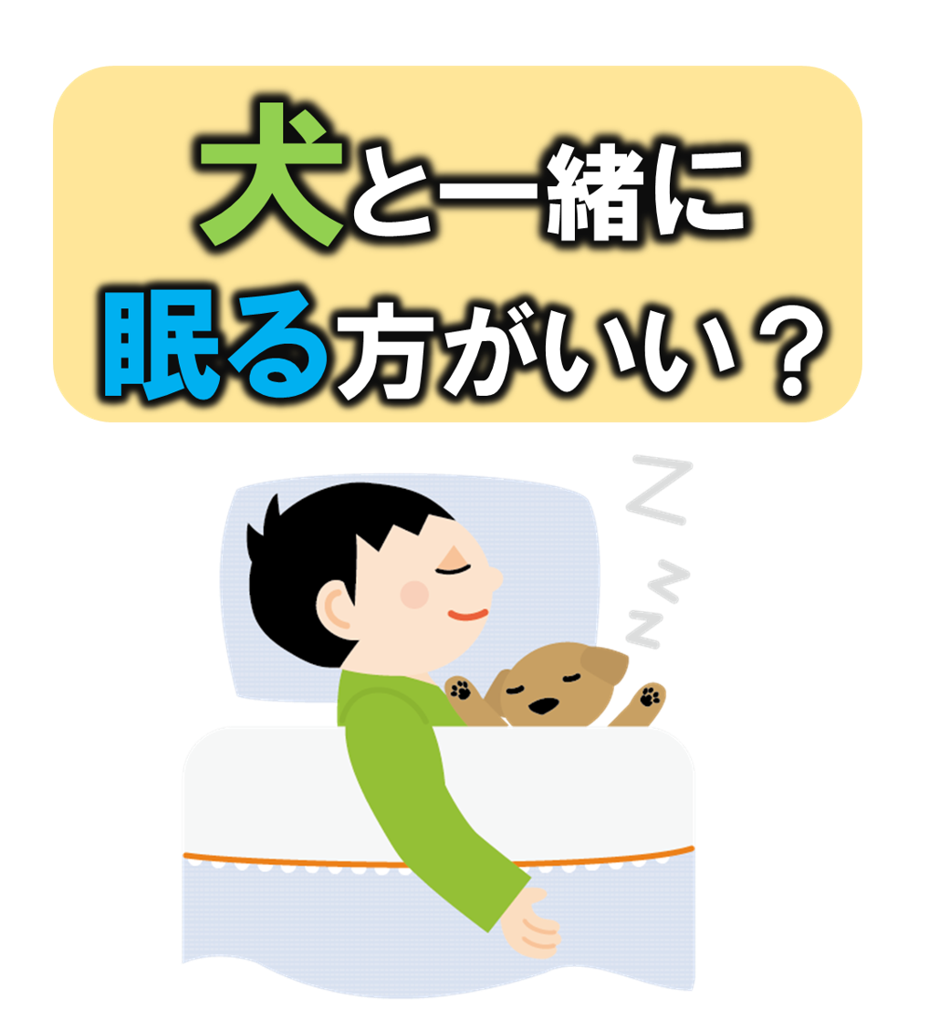 犬と一緒に眠る方がいい？ | 日本眠活眠育協会・JMMA